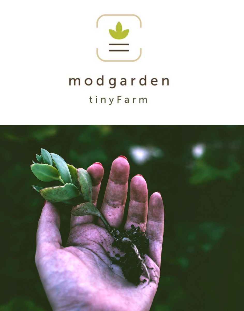 Modgarden – BarterPay Online Marketplace
